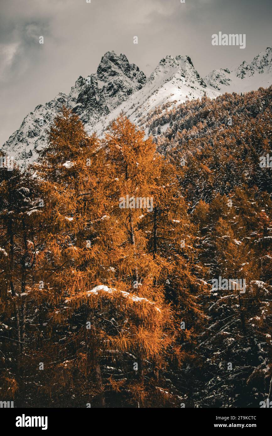 First snow in italian mountains Stock Photo - Alamy