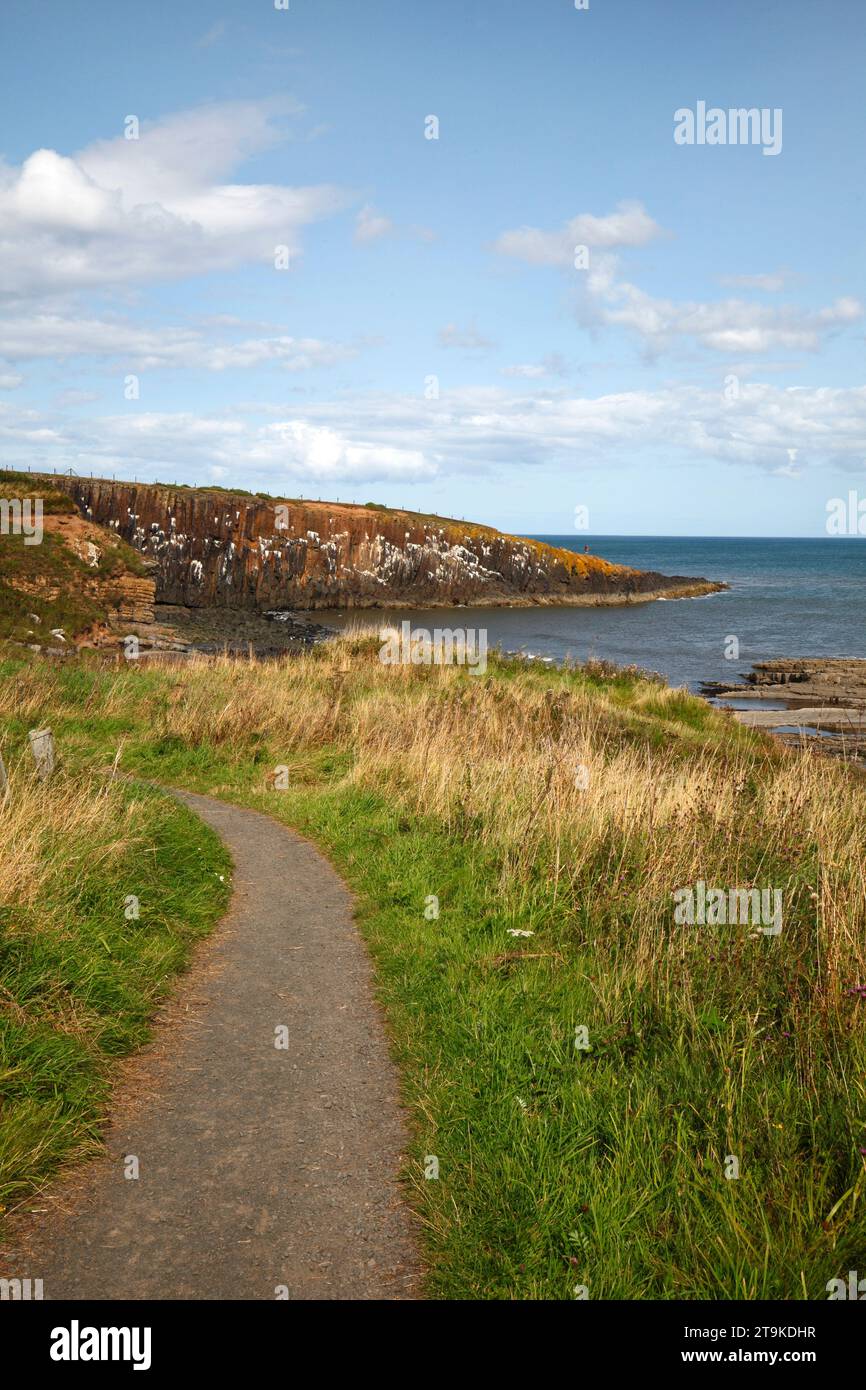 Northumberland coastal path towards the hexagonal columns of Dolerite ...
