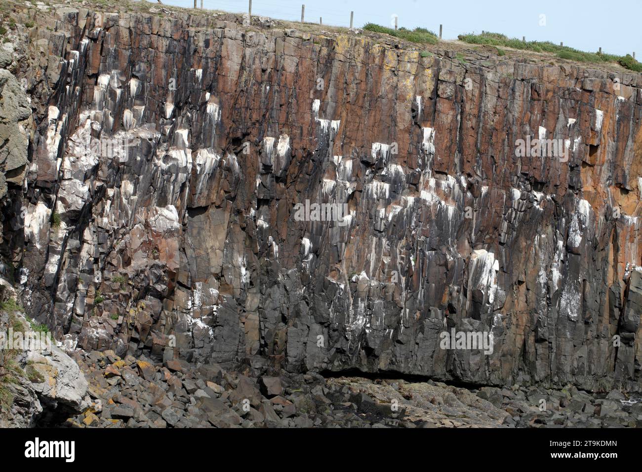 Hexagonal columns of Dolerite, form the cliffs at Cullernose Point ...