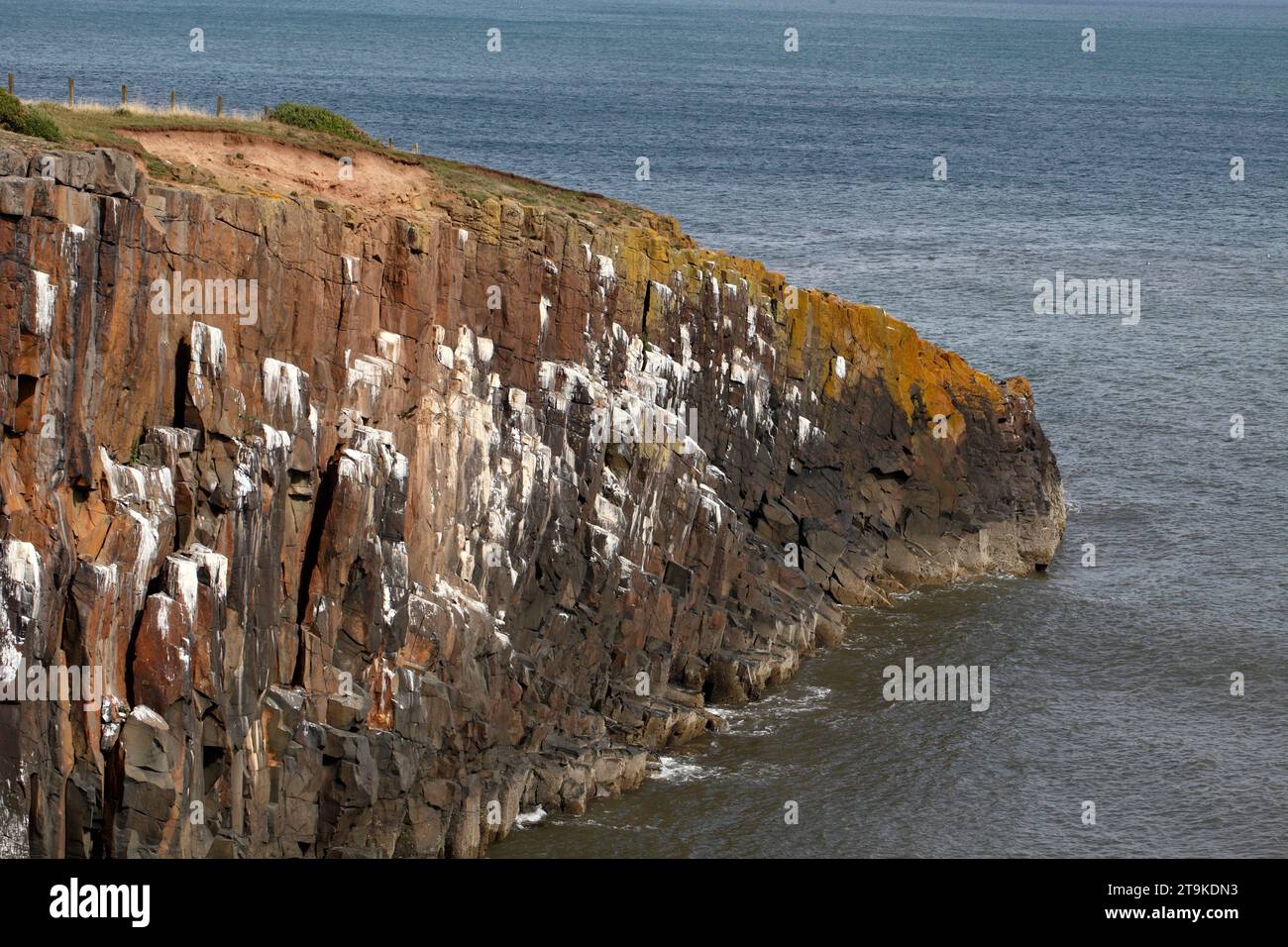 Hexagonal columns of Dolerite, form the cliffs at Cullernose Point ...