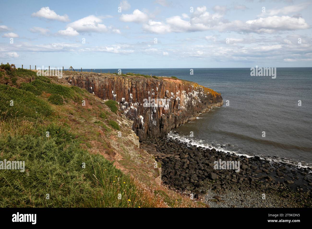 Hexagonal columns of Dolerite, form the cliffs at Cullernose Point ...