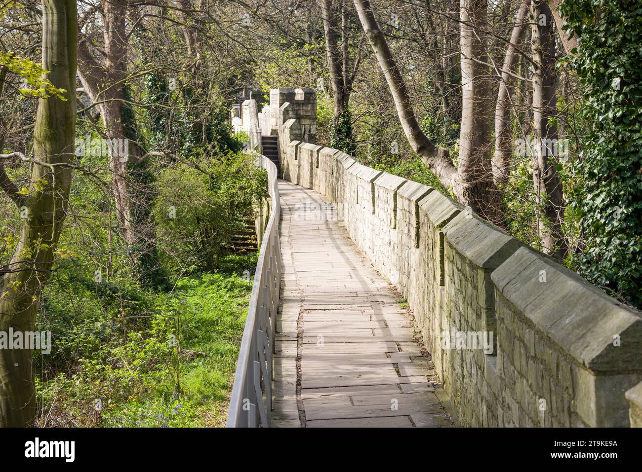 Walkway through York Minster gardens on the ramparts of York city wall ...