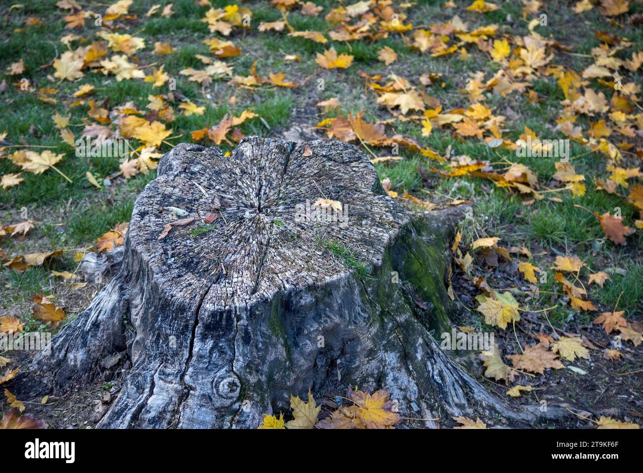 Favorable atmosphere hi-res stock photography and images - Alamy