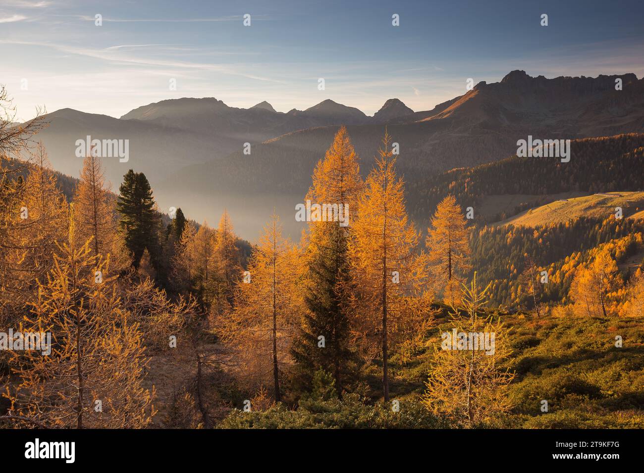 Moordland hi-res stock photography and images - Alamy