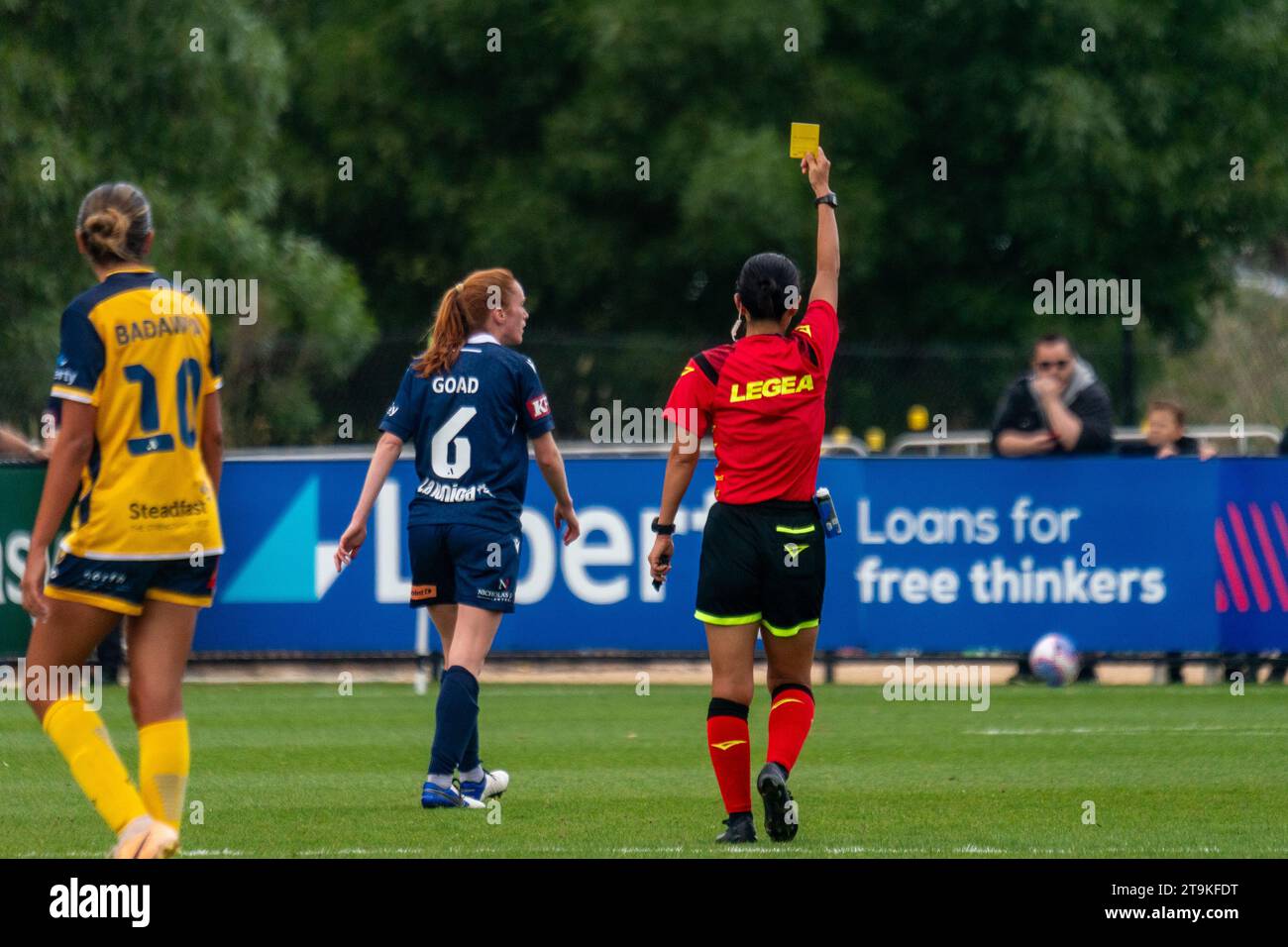 Lobo maya hi-res stock photography and images - Alamy