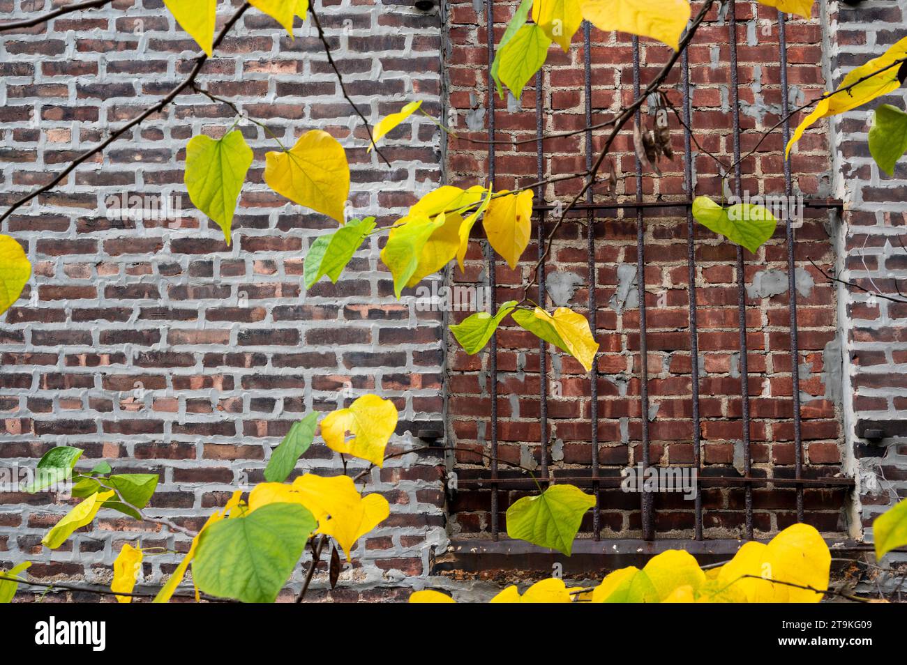 Ancient bricked structure hi-res stock photography and images - Alamy