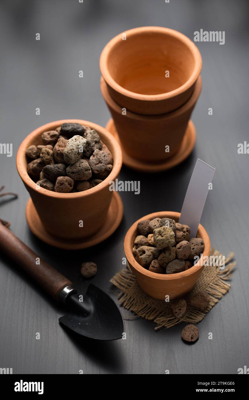 Propagation material hi-res stock photography and images - Alamy