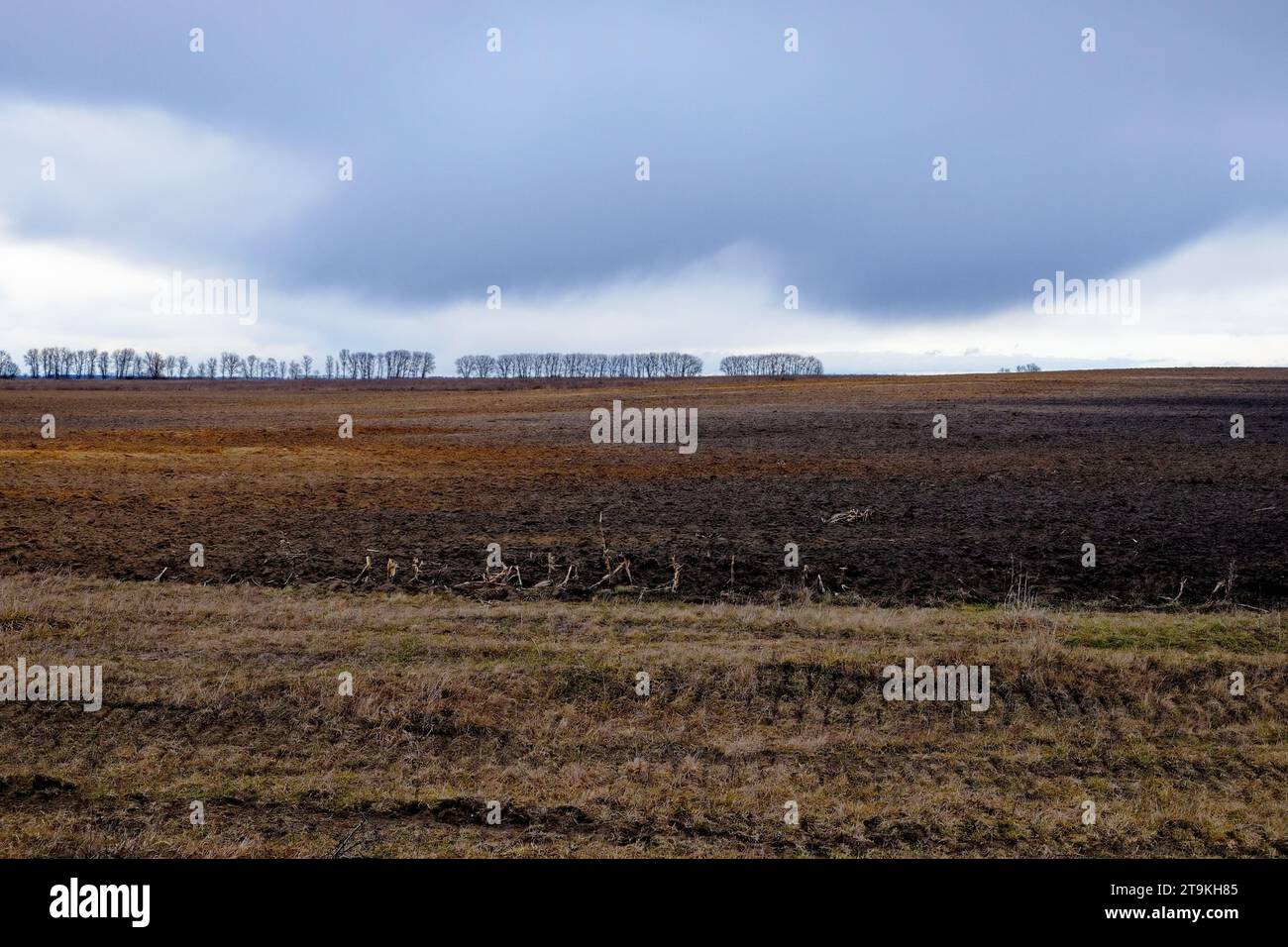 Somber colors hi-res stock photography and images - Alamy