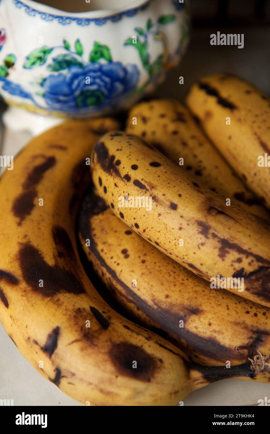 close-up crop of browning bananas next to an old fashioned blue rose ...