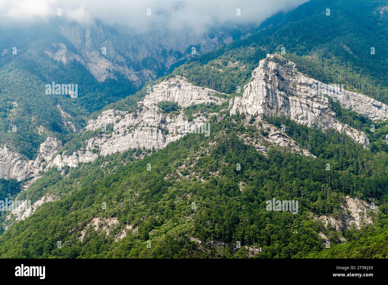 Mountains and rocks covered with forest vegetation and pine trees ...