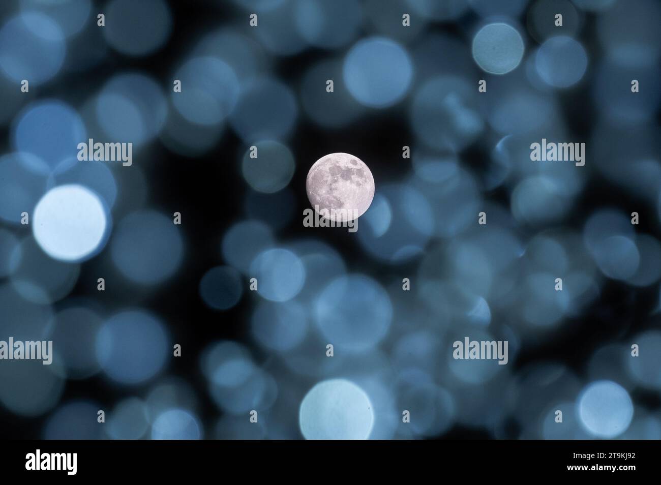 Madrid, Spain. 25th Nov, 2023. An almost full moon of November, known ...