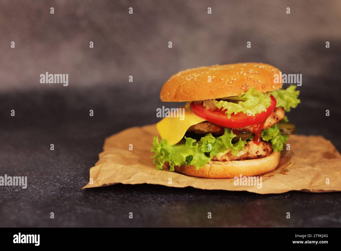 Double cheeseburger on a gray background. Juicy tasty burger close-up ...