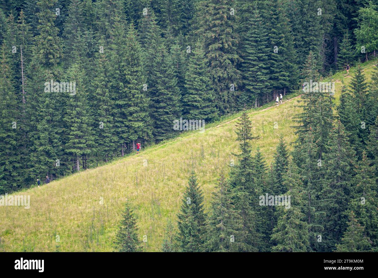 side view of the mountain slope where small, unrecognizable people can be seen going down the ...