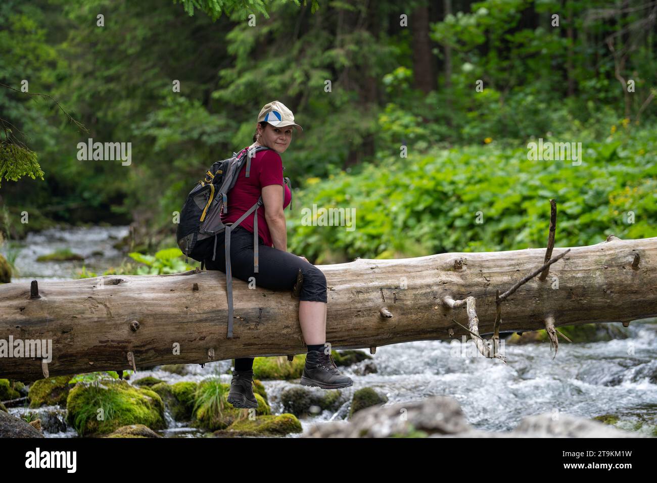 a break in a mountain hike, sitting on a log that has fallen over a ...