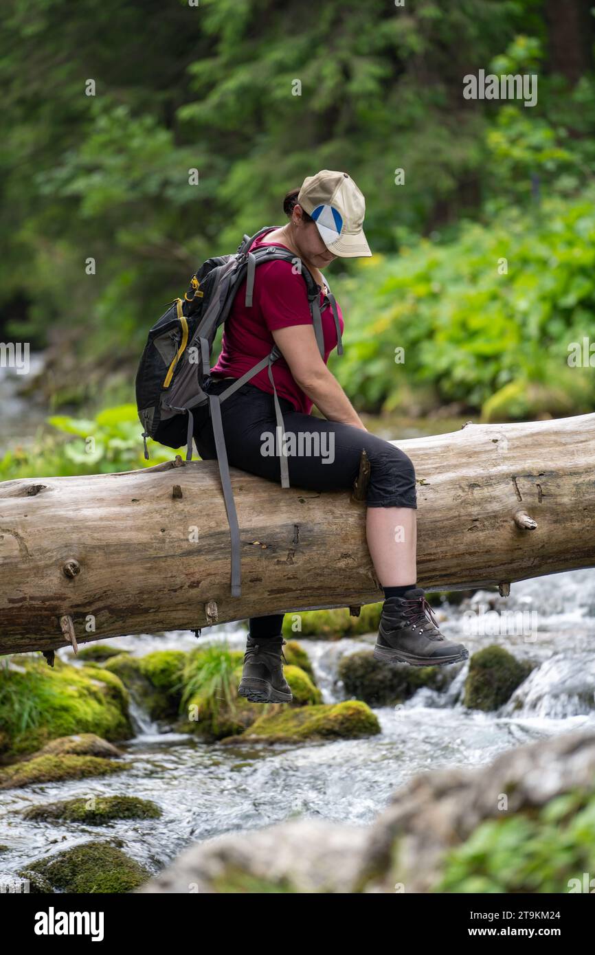 a break in a mountain hike, sitting on a log that has fallen over a ...