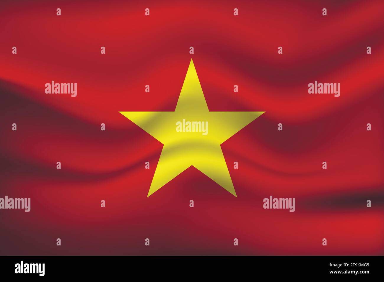Flag of Vietnam. Vietnamese national symbol in official colors ...