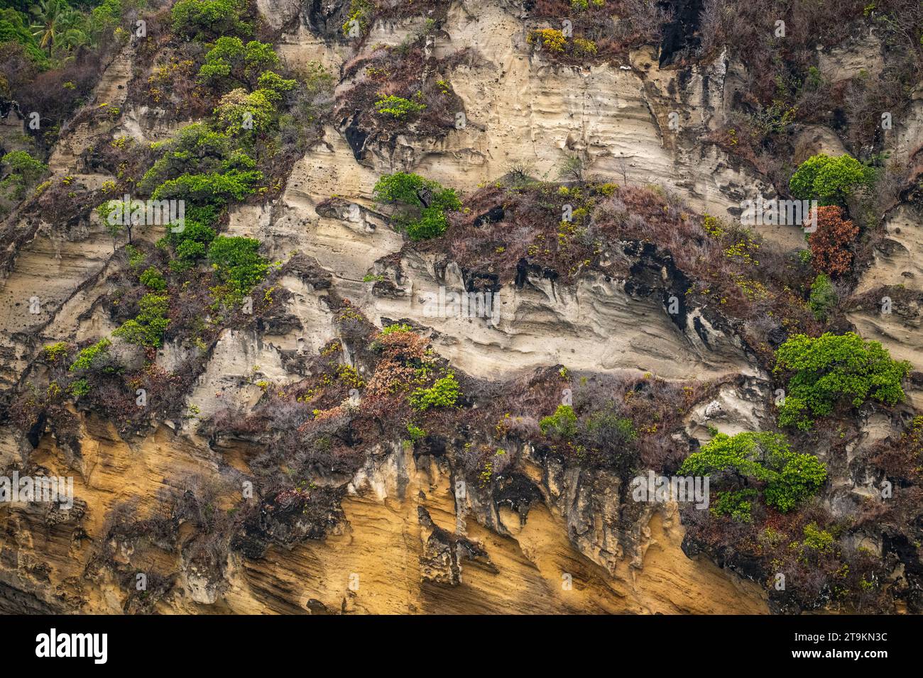 Swim at low tide over the coral reef of Mayotte lagoon Indian Ocean ...