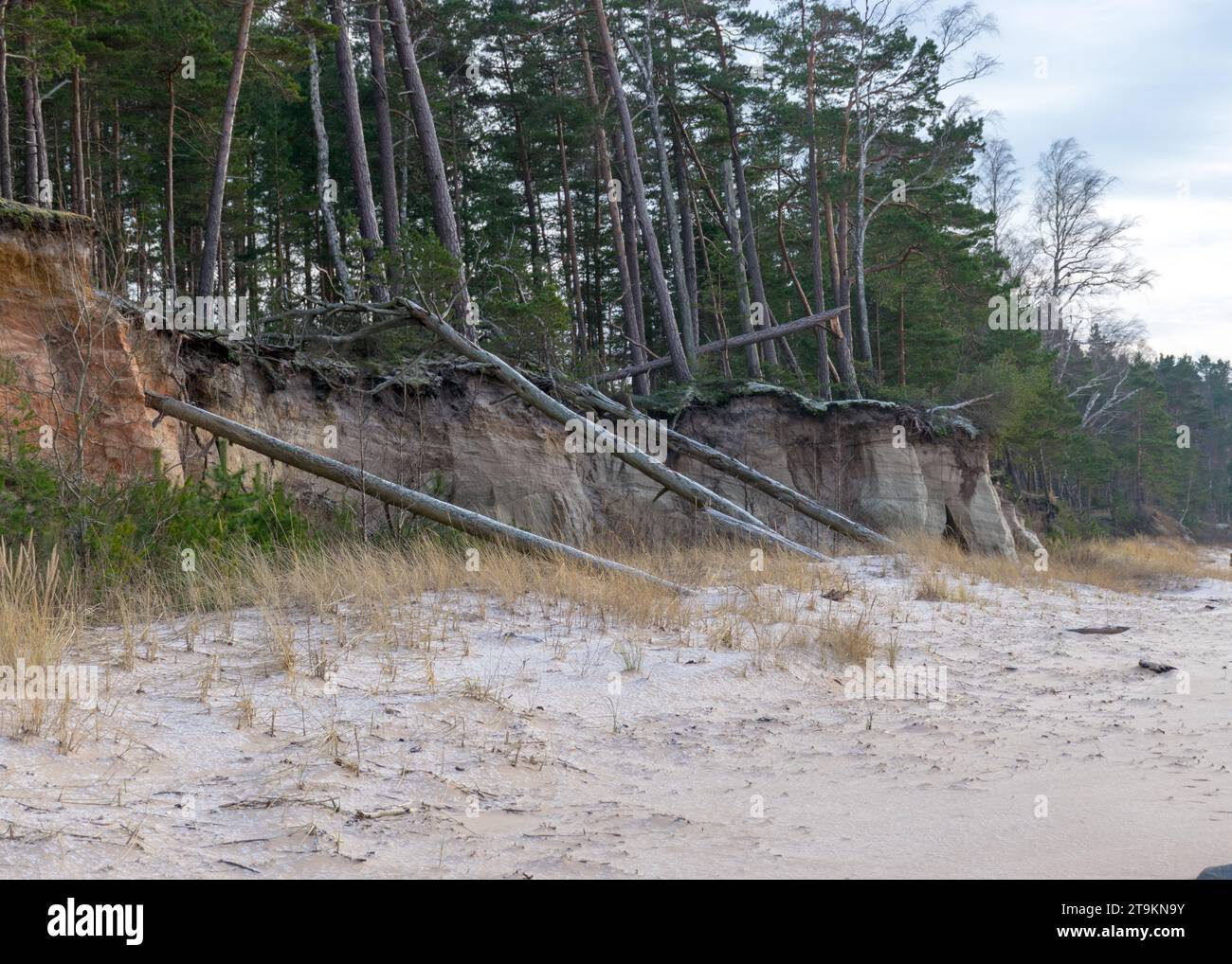 Land outcrops. The outcrops are mainly composed of fine-grained to ...