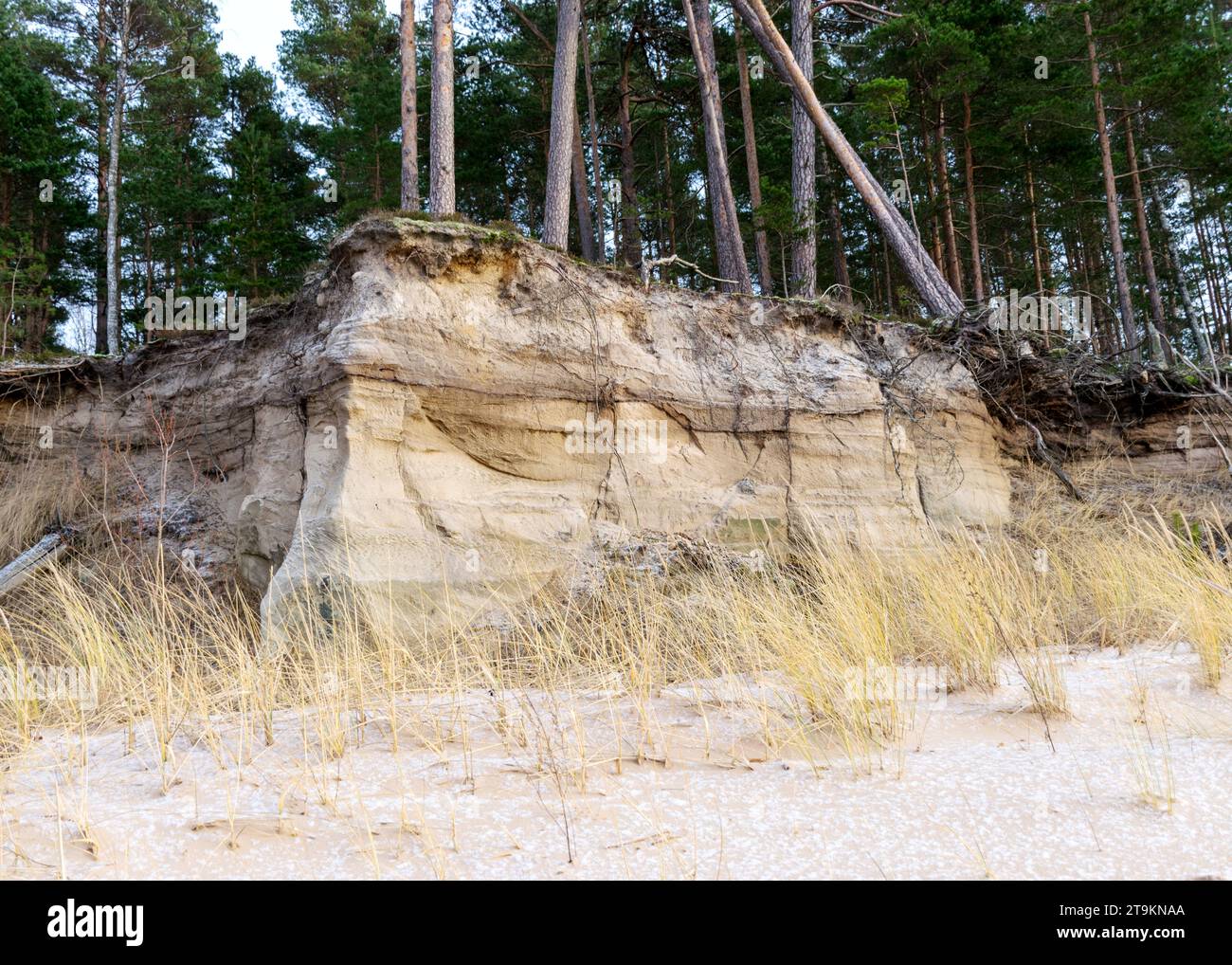 Land outcrops. The outcrops are mainly composed of fine-grained to ...