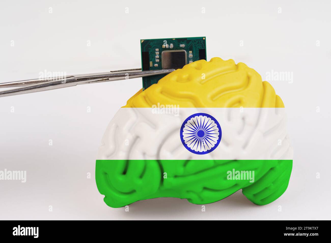 On a white background, a model of the brain with a picture of a flag ...