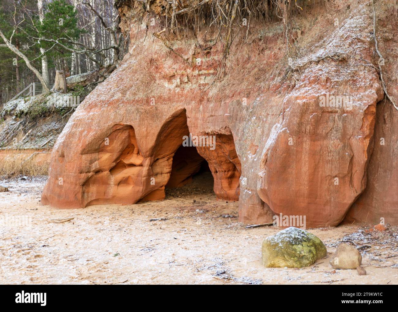 Sea cliff with Devonian sandstone outcrops. During the storm, niches ...