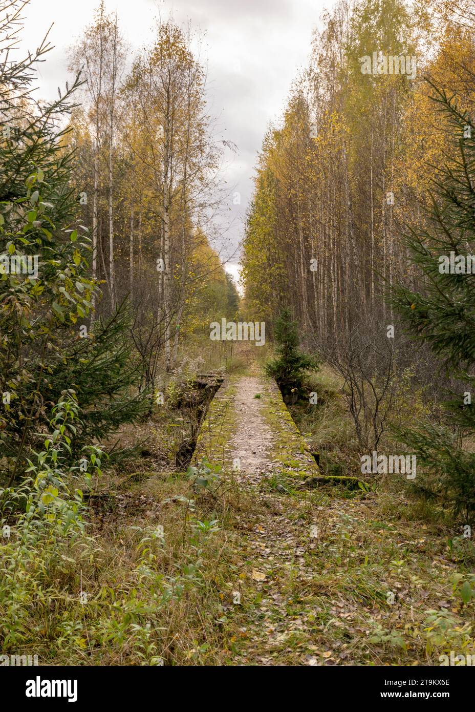 Peat bog railway hi-res stock photography and images - Alamy