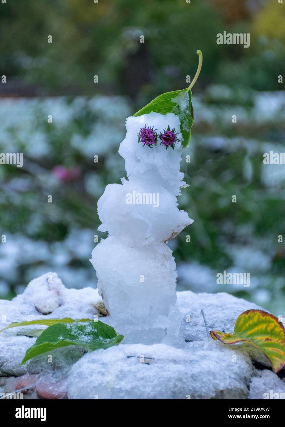 first snow, little snowman in the garden, green leaf hat, snowy garden ...