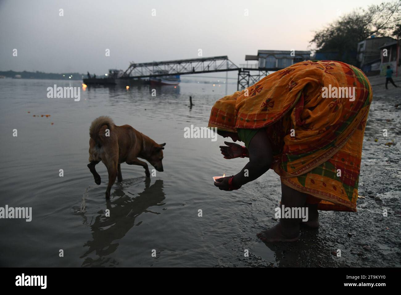 Kolkata, India. 26th Nov, 2023. Hindu devotee offering illuminated diya ...
