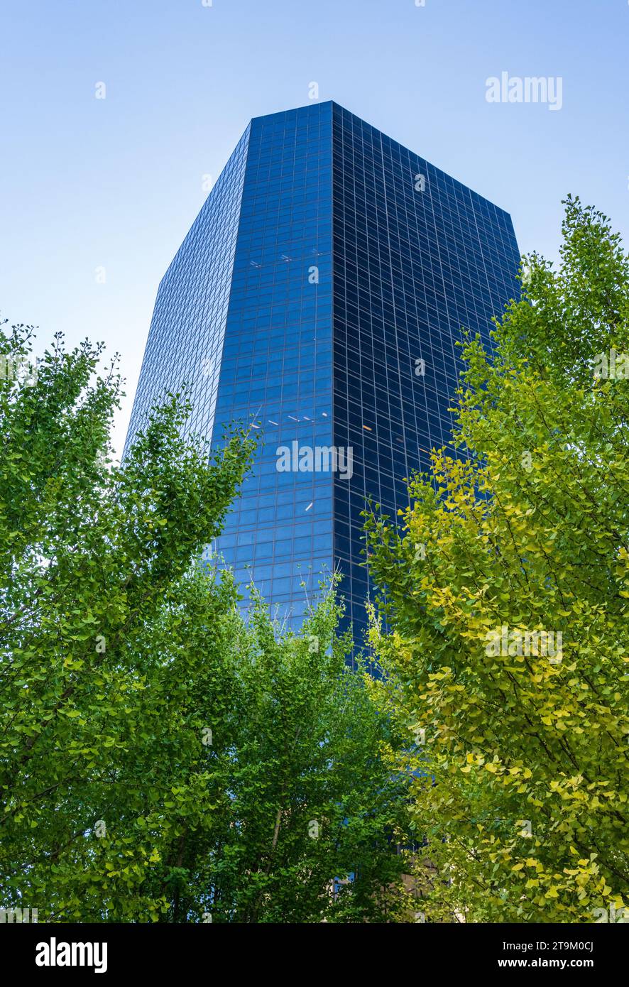 Mirrored surface of modern skyscraper office building on Market St in ...
