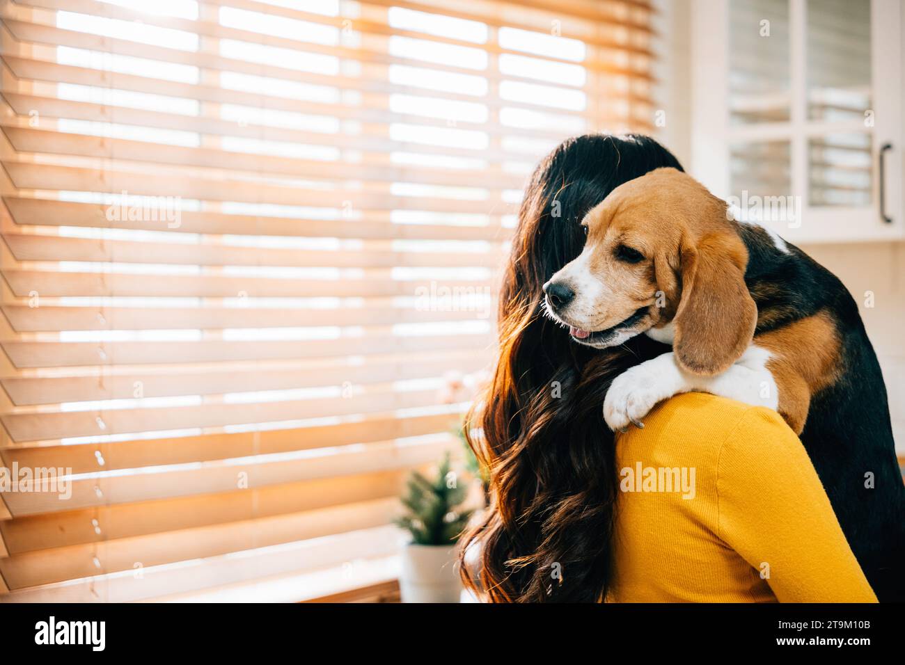 A woman stands in the kitchen, holding her Beagle dog on her shoulder ...