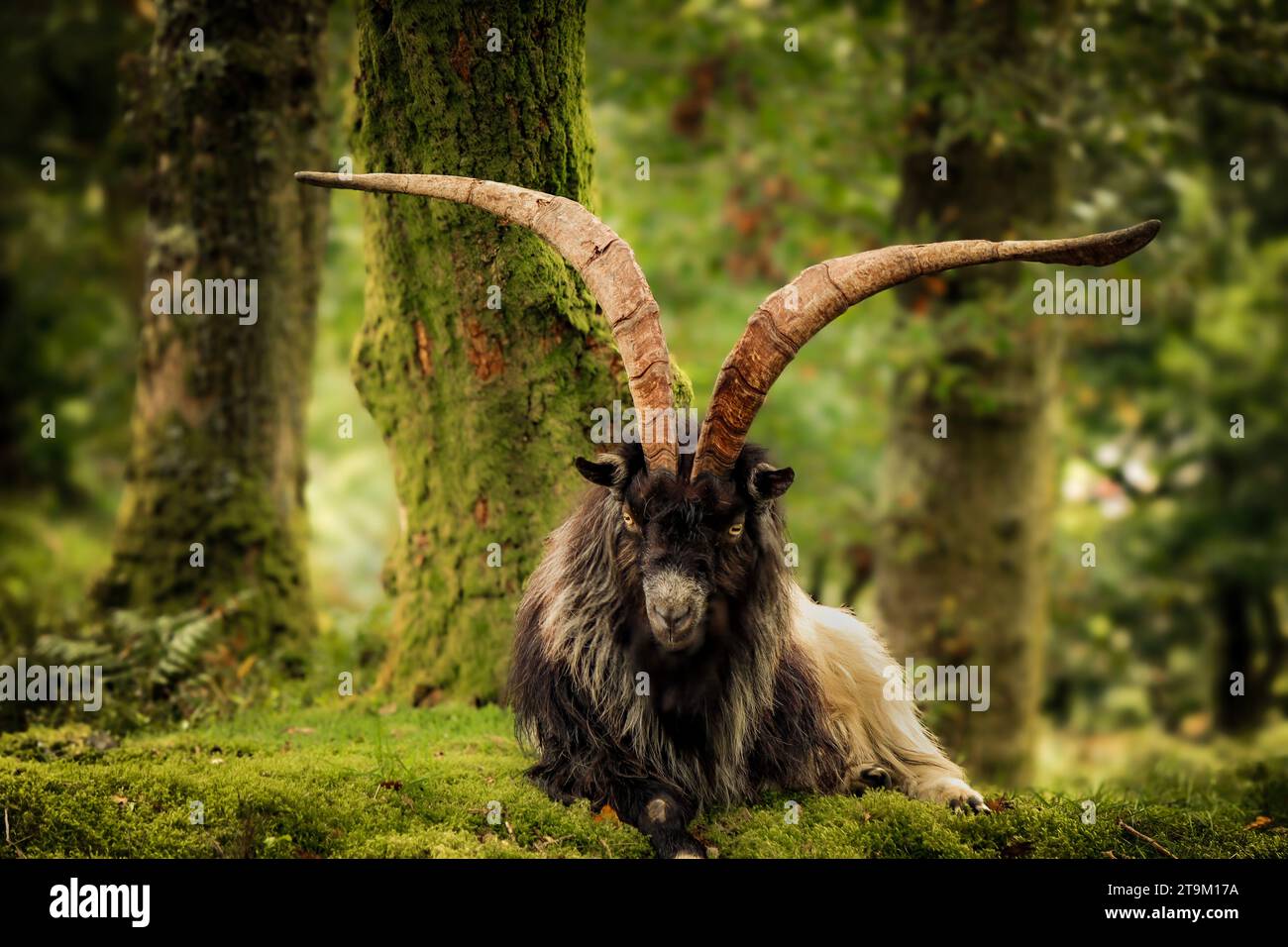 North Wales landscapes - images of North Wales landmarks and landscapes ...
