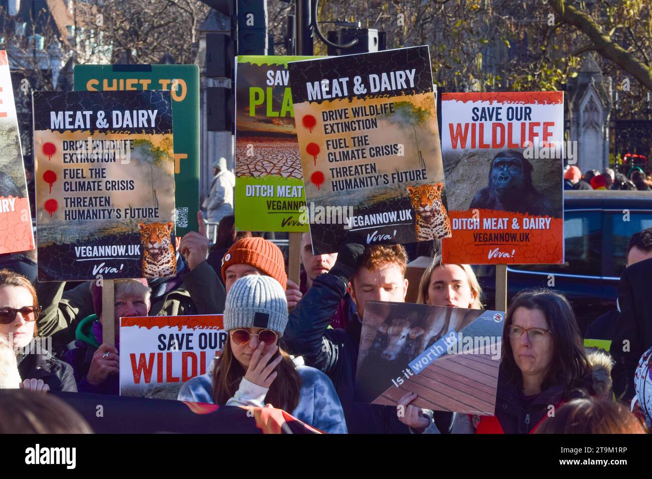 London, UK. 25th Nov, 2023. Protesters hold placards describing the ...