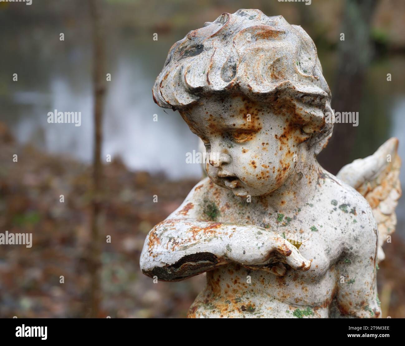 Statue forest hi-res stock photography and images - Alamy