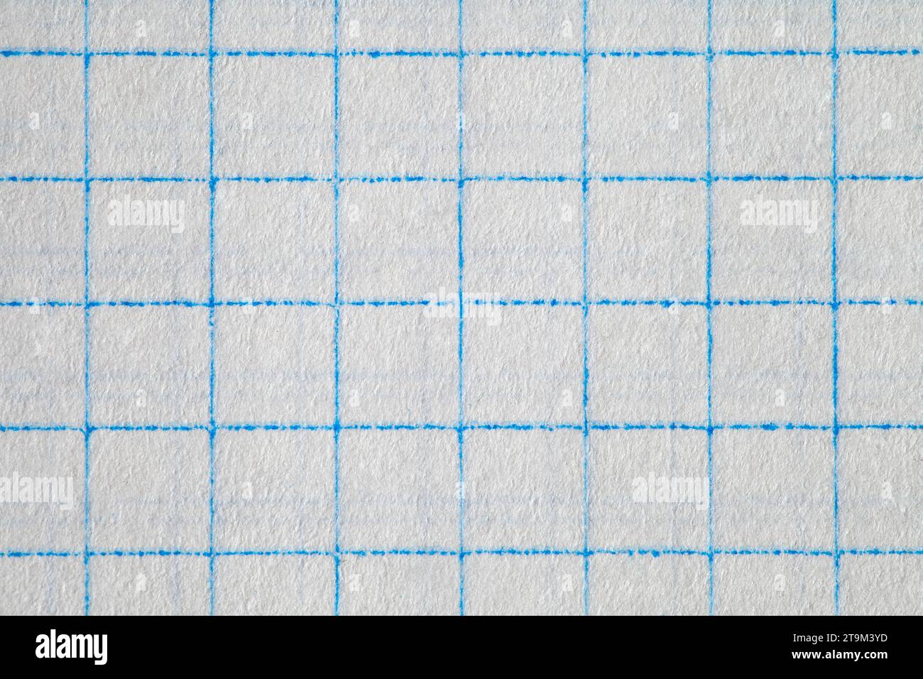 Checkered notebook sheet, background structure, close-up macro view ...