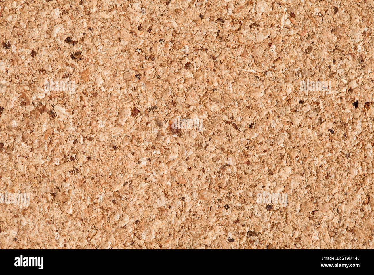 Balsa tree hi-res stock photography and images - Alamy