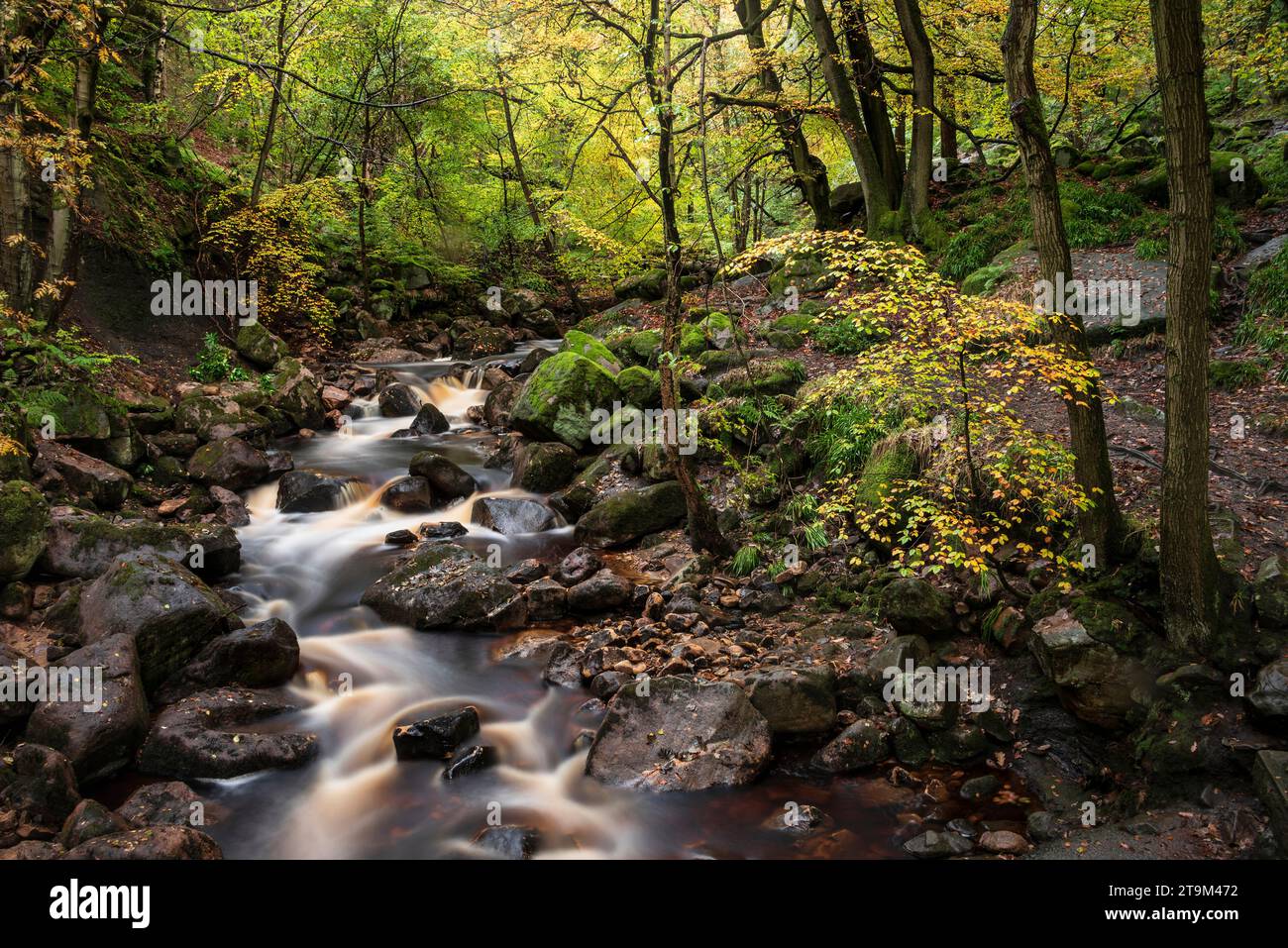 Orange river gorge below hi-res stock photography and images - Alamy