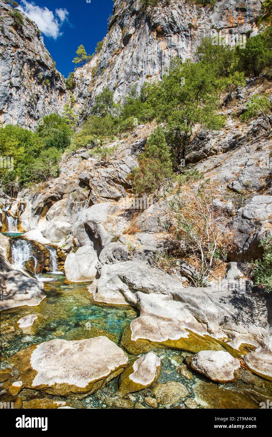 Mountain river with clear water flows in mountain gorge with rocks ...