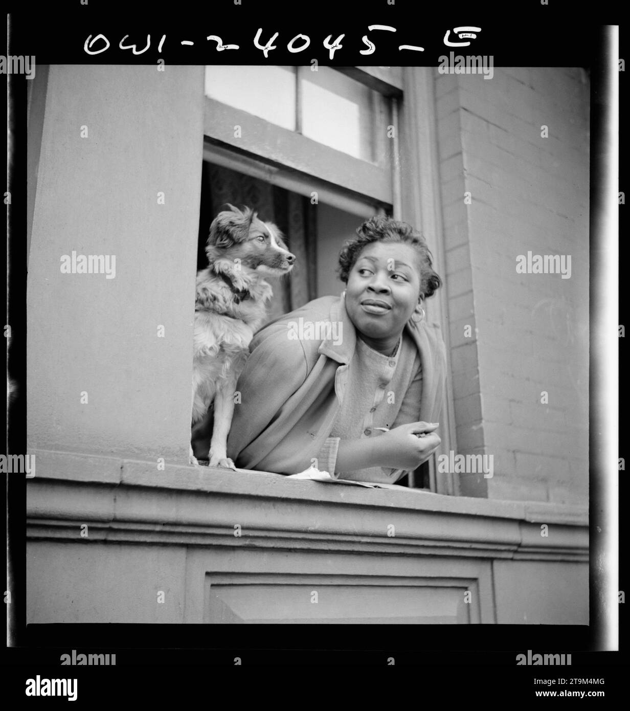 Woman and her dog look out from a Harlem window, New York, New York, 5 ...