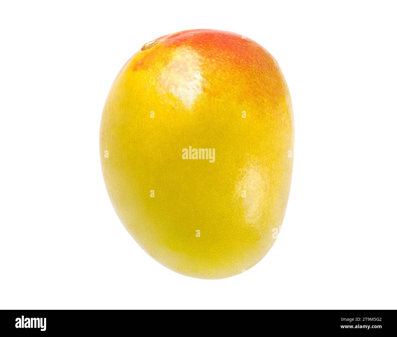 Mango whole one, isolated on white background with clipping path ...