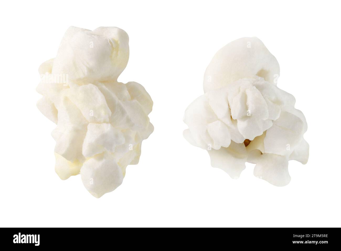 Popcorn, two open corn, isolated on white background with clipping path ...