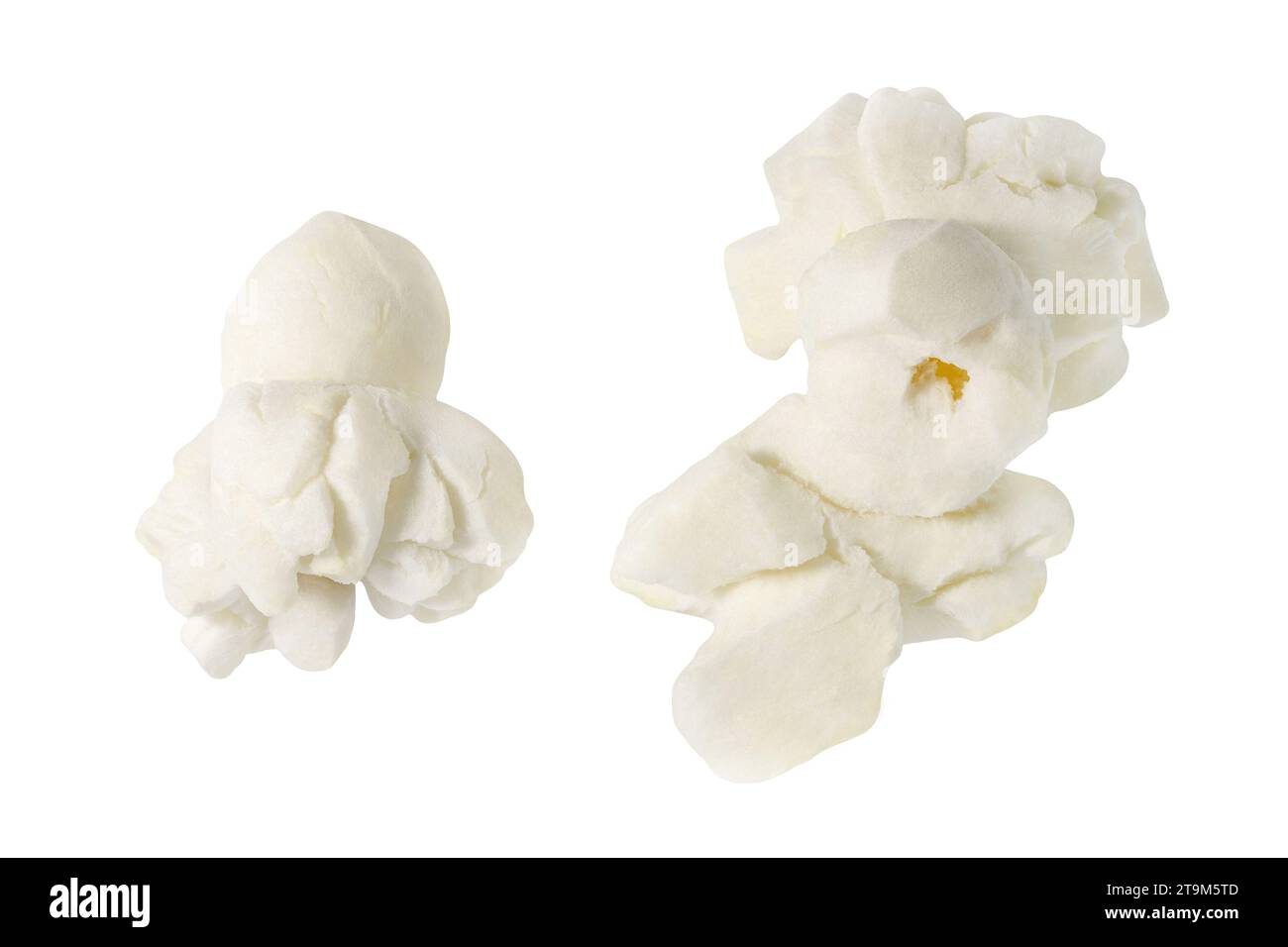 Popcorn, two open corn, isolated on white background with clipping path ...