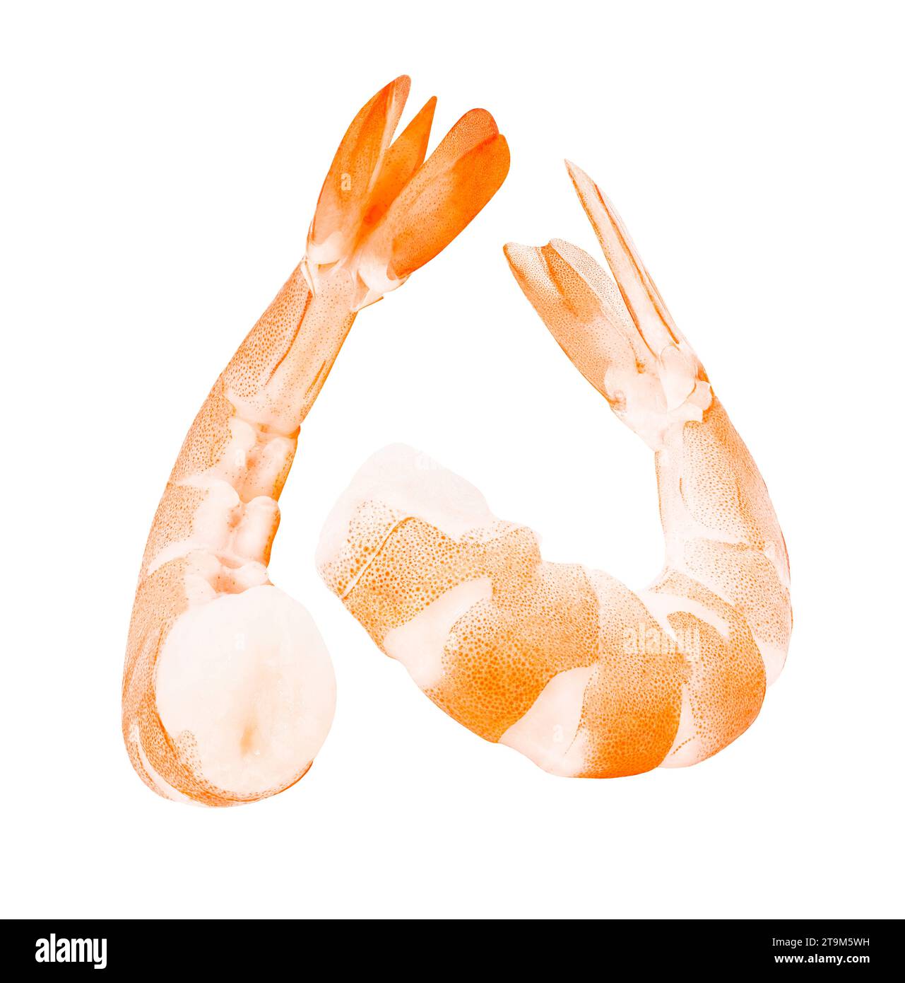 Shrimps cooked, prawns peeled, two isolated on white background with ...