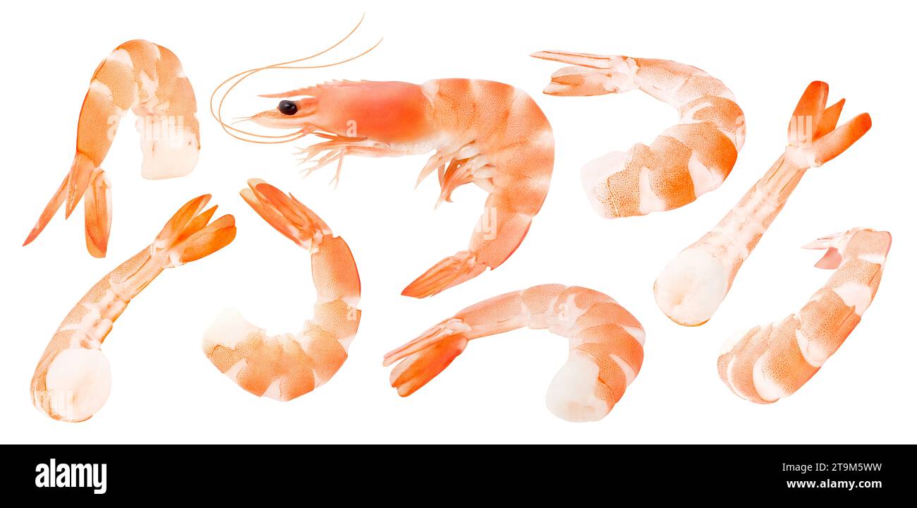 Shrimp cooked, prawns whole and cleaned lot, isolated on white ...