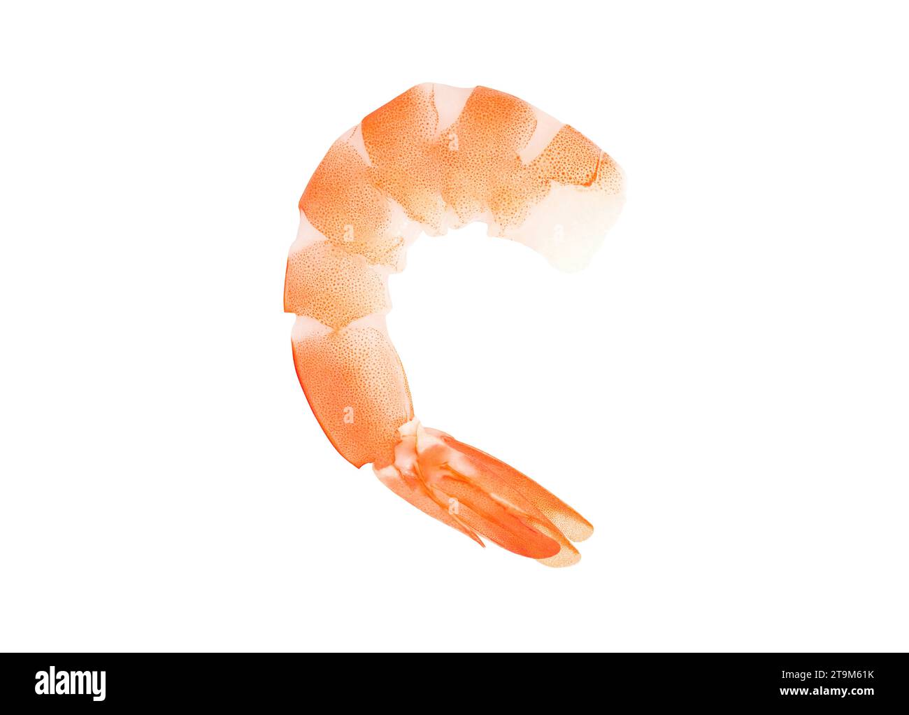 Shrimp peeled, prawn cooked isolated on a white background with ...