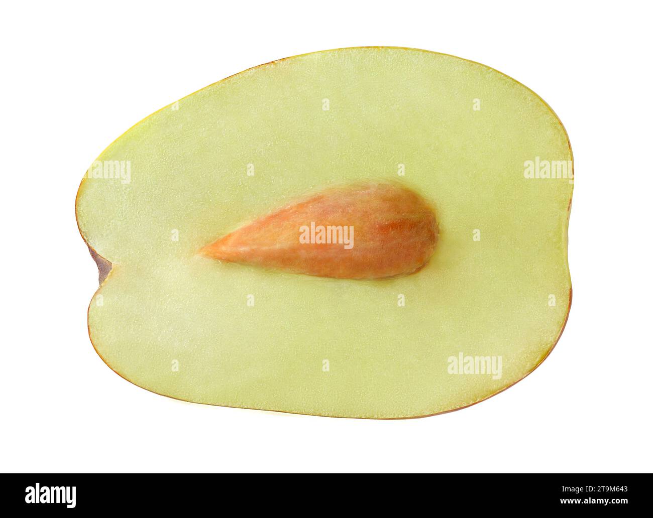 Ziziphus cut lengthwise, with bone inside, close-up macro view ...