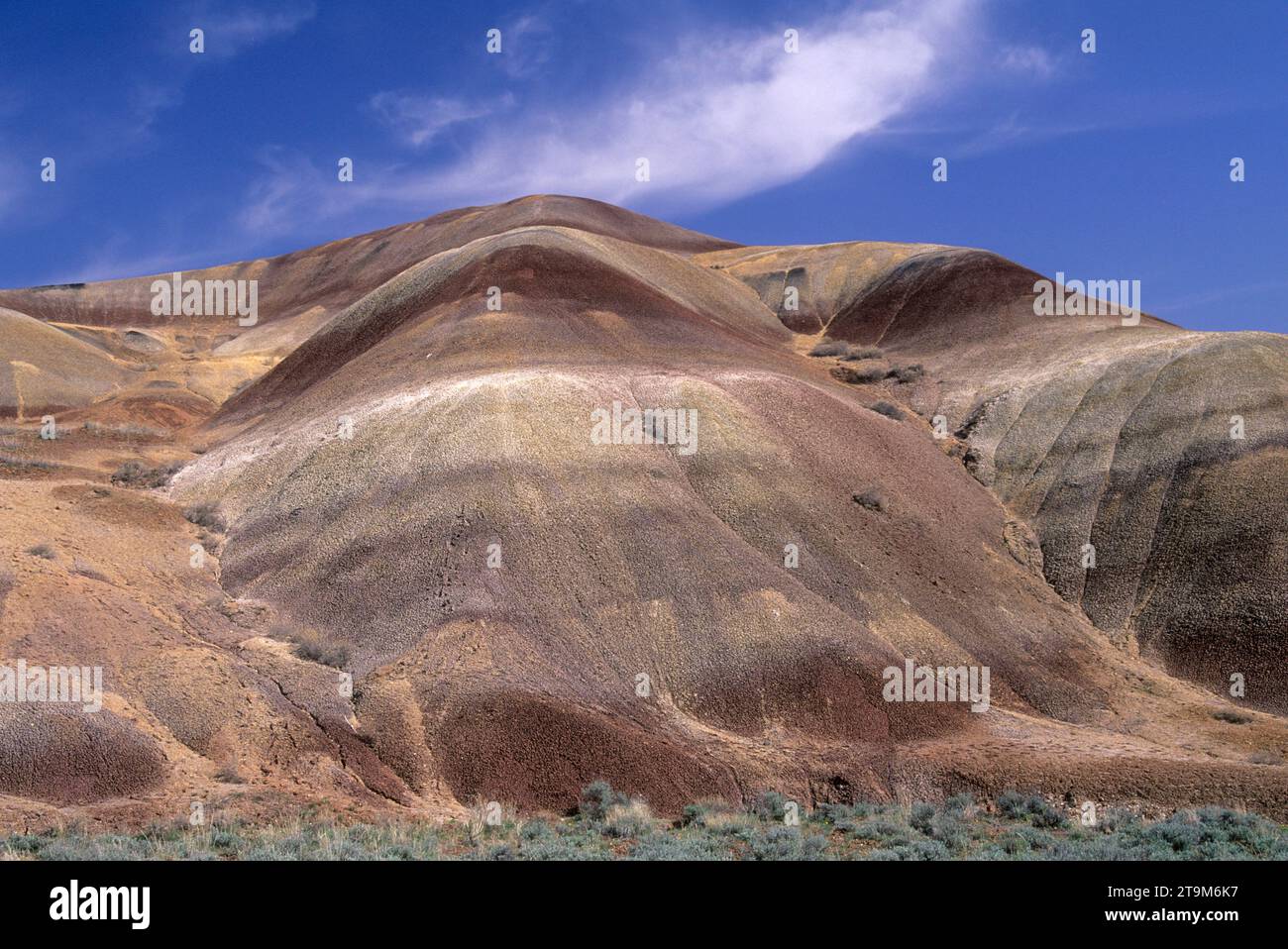 Painted Hills, Juniper Hills Preserve, Oregon Stock Photo - Alamy