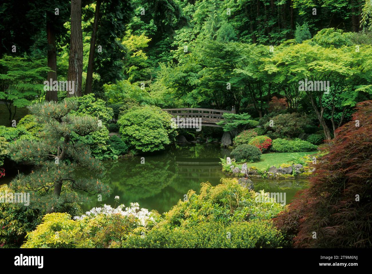 Upper Pond with Moon Bridge, Portland Japanese Garden, Washington Park ...