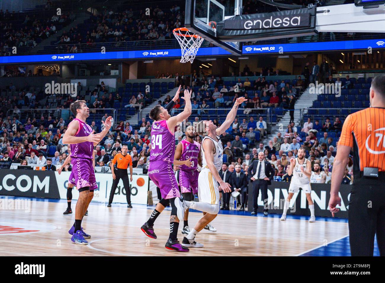 Marin maric hi-res stock photography and images - Alamy