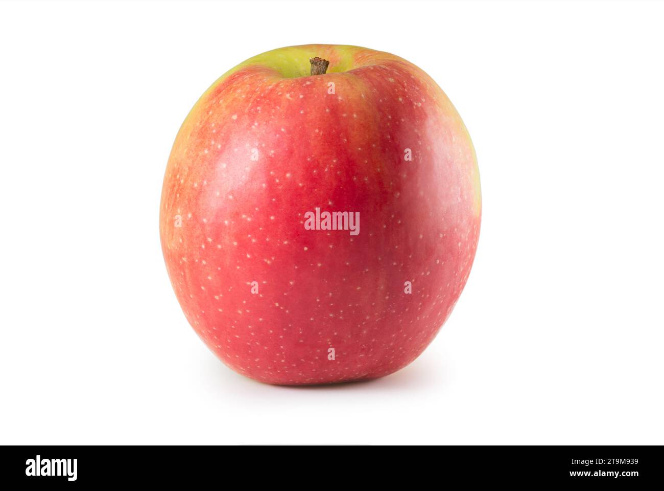 Apple Scifresh isolated against white background Stock Photo - Alamy