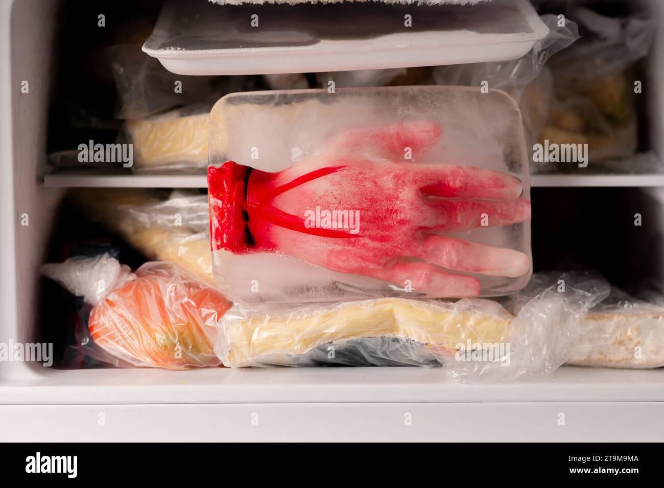 Frosty Prank: A frozen mock human hand in an ice block inside a fridge ...